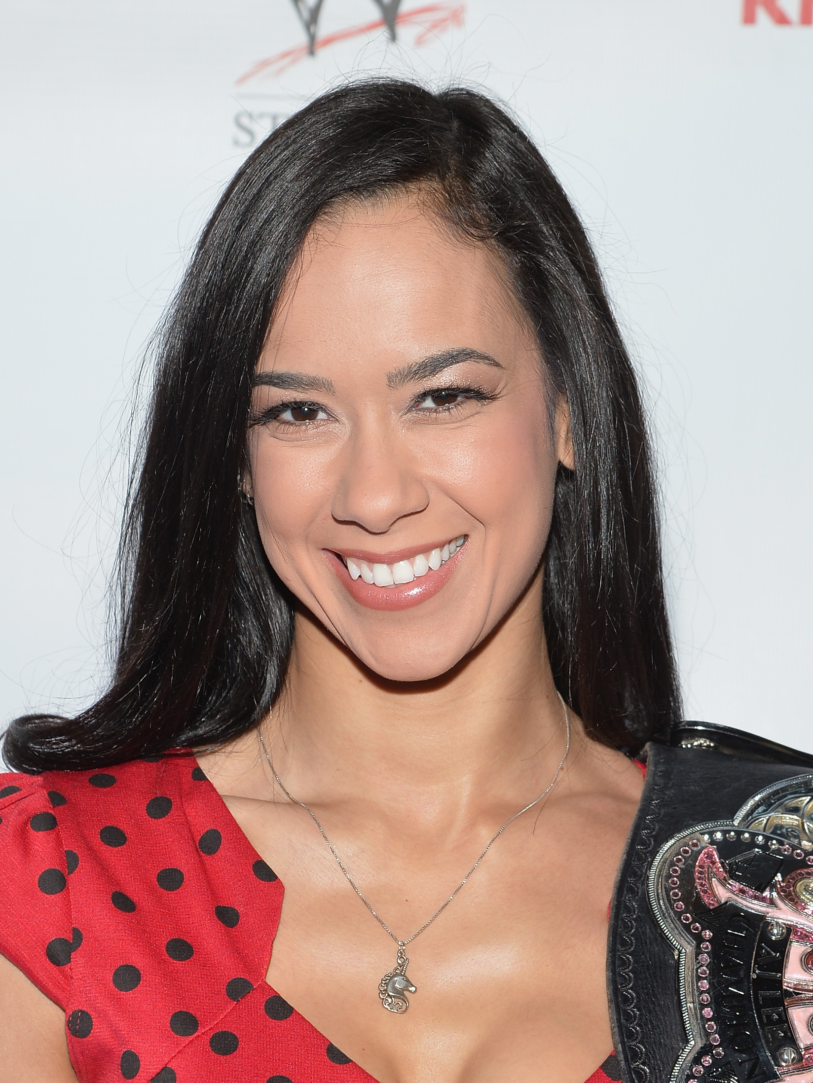 Pro Wrestling Pix : AJ Lee Photo Gallery